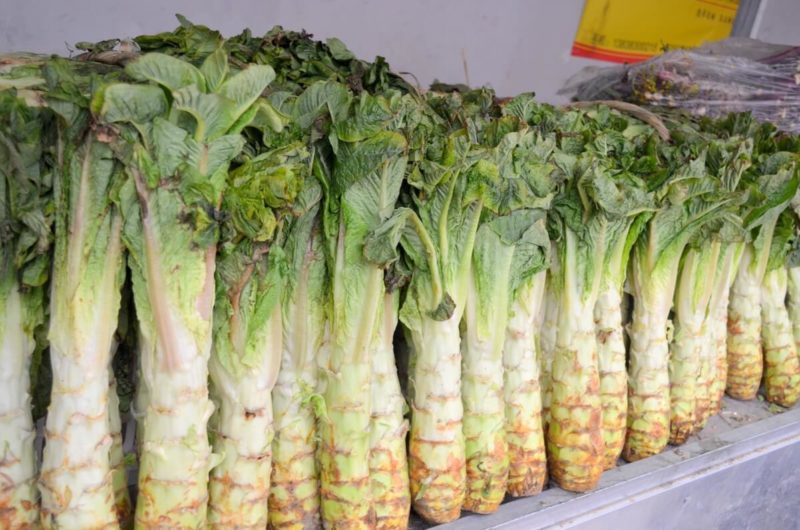 Chinese Lettuce (Celtuce) - My Chinese Home Kitchen